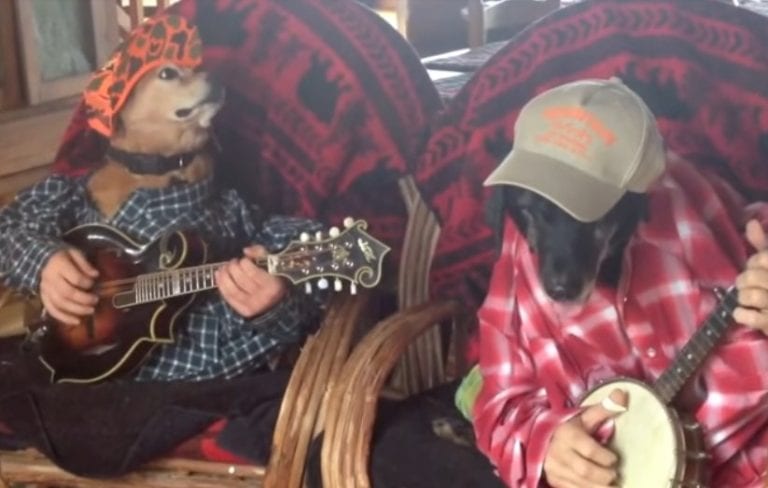 Watch This: Two Dogs Playing Banjos - The Frisky