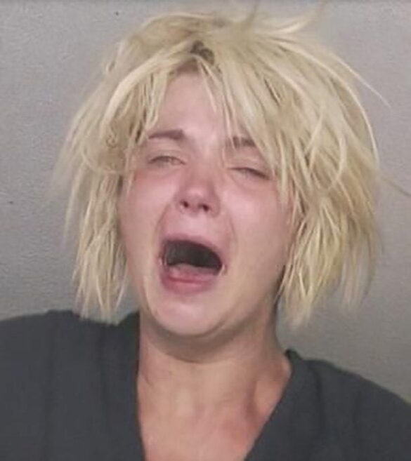 25 Funniest Mugshots - The Frisky