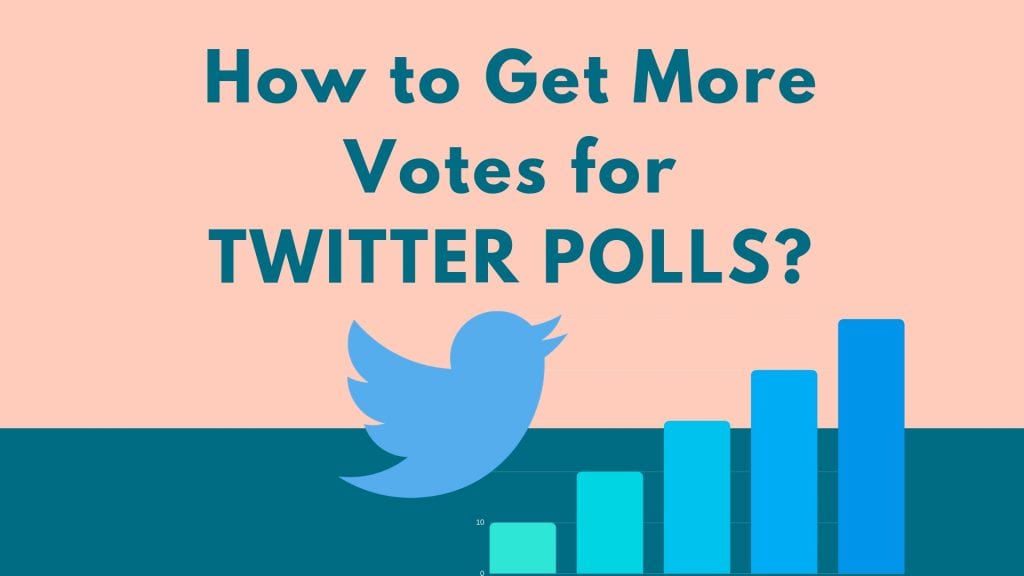 How to Get More Votes for Twitter Polls? - The Frisky