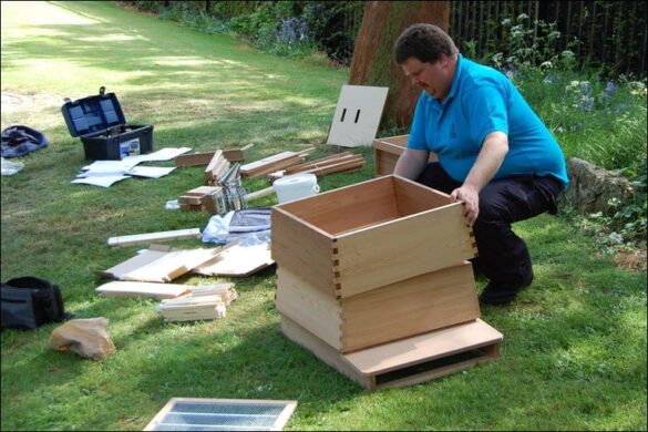 How To Build Your Own Beehive (videos) - The Frisky