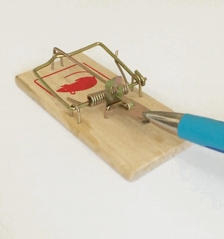How to Set a Mousetrap - The Frisky