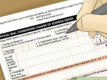 Places Where You Need To Change Your Address While Moving - The Frisky