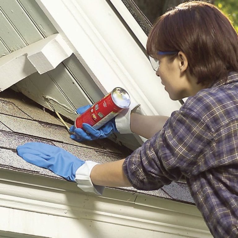 Pest Control Ideas For Your Home - The Frisky