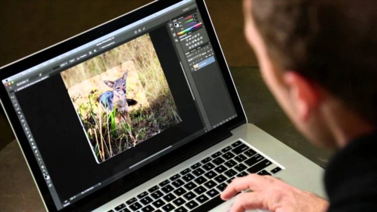 How the Right Mouse for Photoshop Can Improve Your Workflow - The Frisky