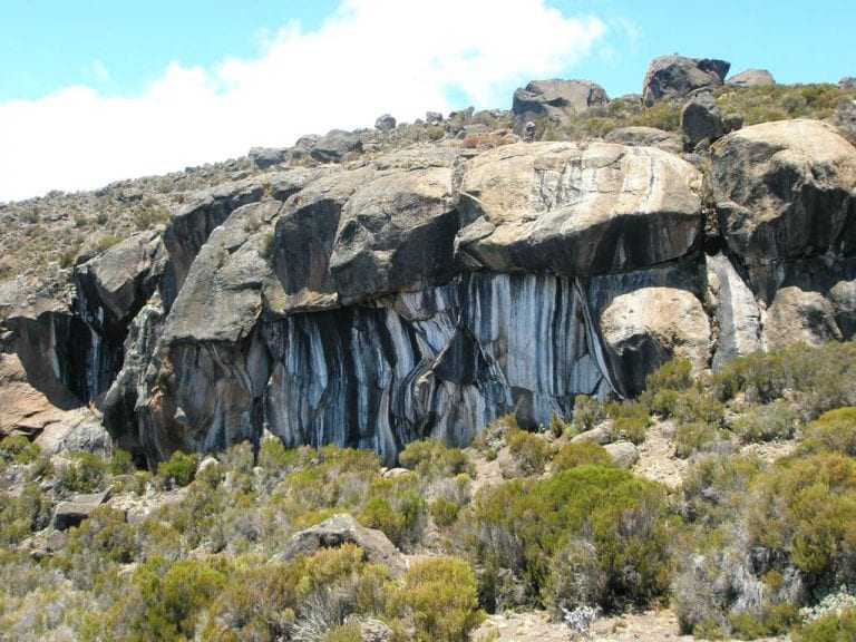 All the Stuff You Can See While Climbing Mount Kilimanjaro - The Frisky