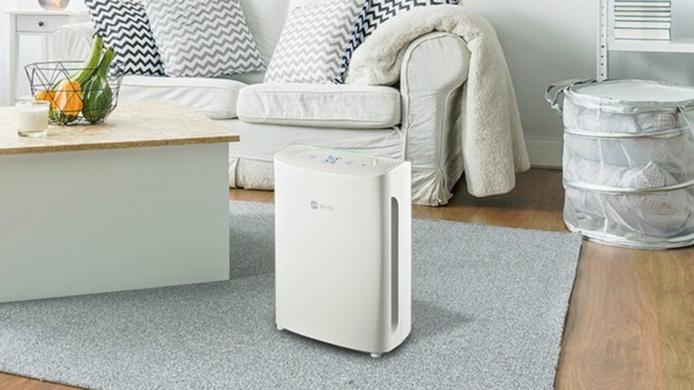 7 Effective Ways To Get Clean Air At Home - The Frisky