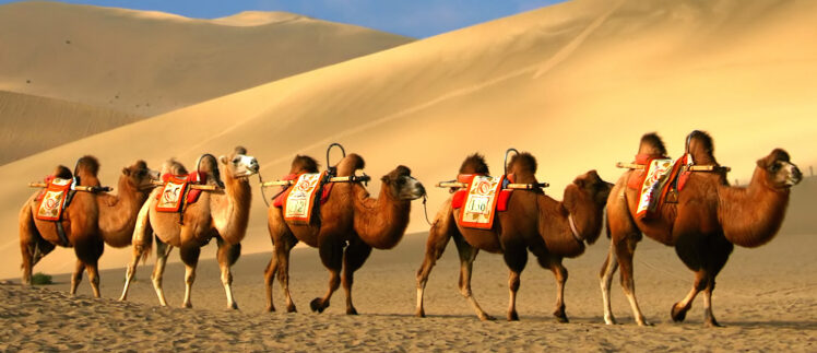 Silk Road Tours: Traveling through the ancient Silk Road - The Frisky