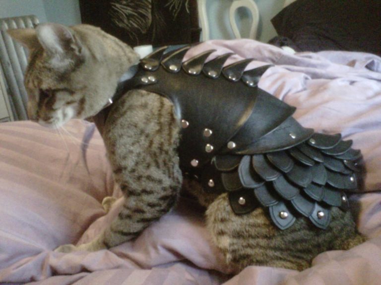 Prepare Your Cat For Battle With This Epic Suit Of Armor - The Frisky