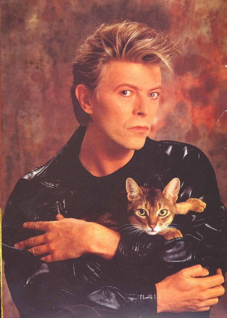 11 Awesome Celebrity Cat Guys - The Frisky