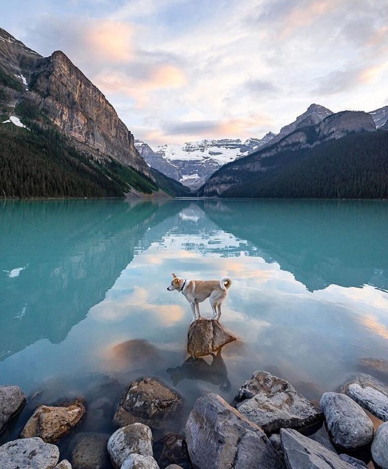 Top Reasons to visit the beautiful Calgary - The Frisky