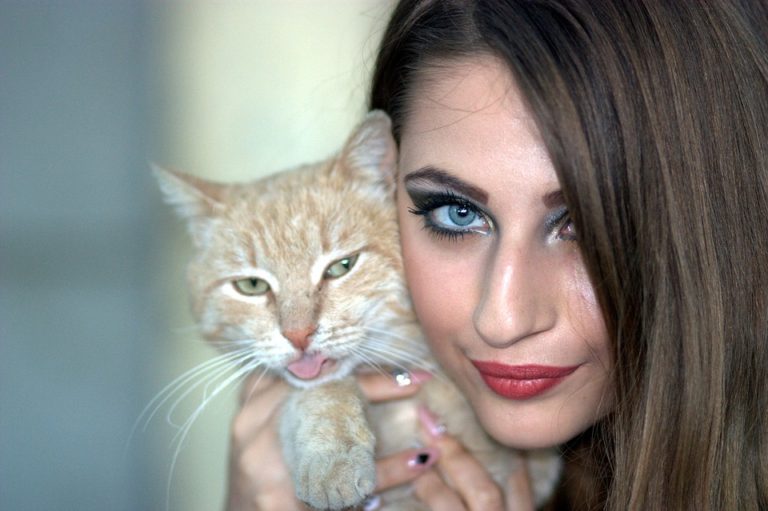 5 Romantic Things To Do With Your Cat This Valentine’s Day - The Frisky