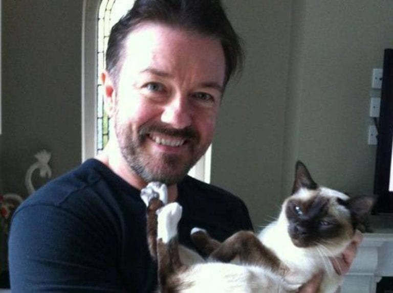 11 Awesome Celebrity Cat Guys - The Frisky