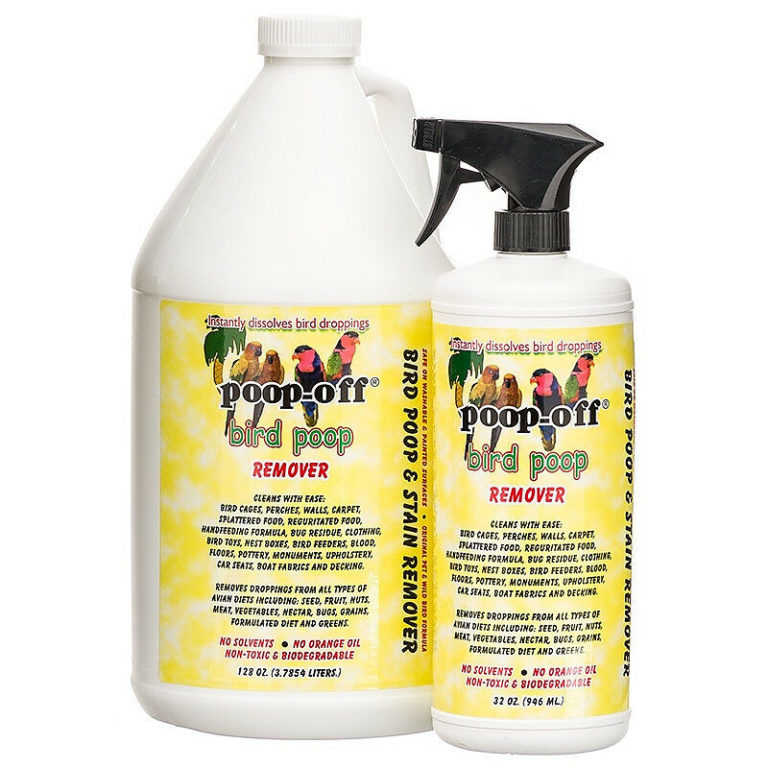 Five Products That Help to Make a Bird Owners Life Easier - The Frisky