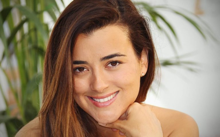 Ziva David is going back to NCIS? - The Frisky
