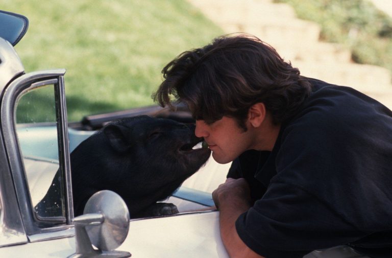 13 Celebs Who Are Truly Obsessed With Their Pets - The Frisky