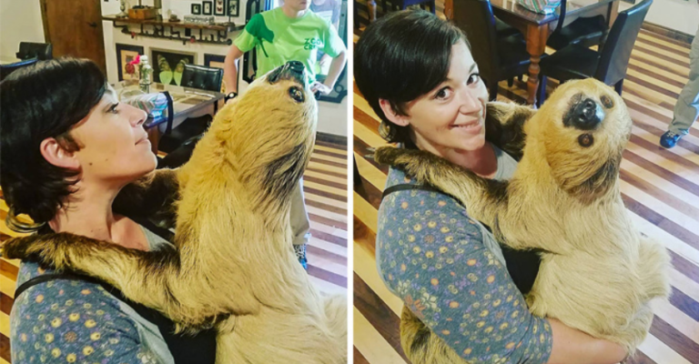 20 Cute Animals That Adore Cuddling - The Frisky