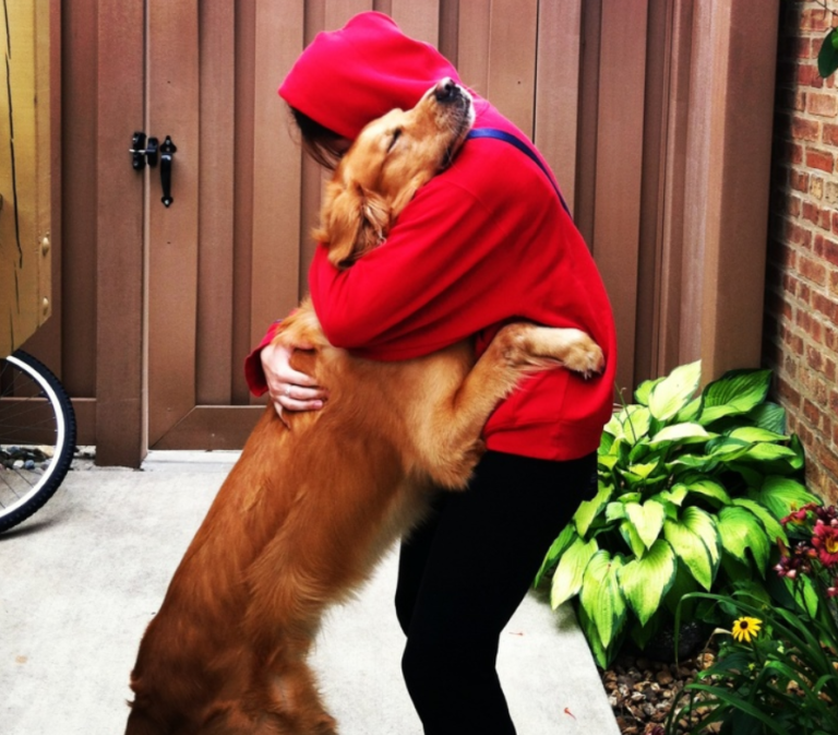 20 Cute Animals That Adore Cuddling - The Frisky