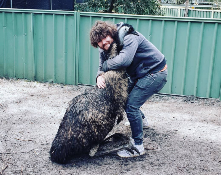 20 Cute Animals That Adore Cuddling - The Frisky