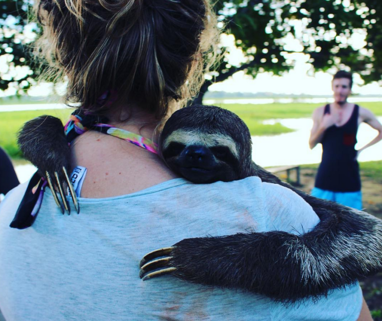 20 Cute Animals That Adore Cuddling - The Frisky