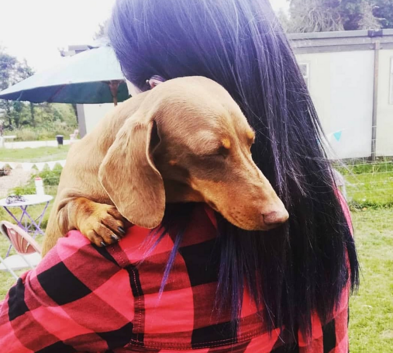 20 Cute Animals That Adore Cuddling - The Frisky