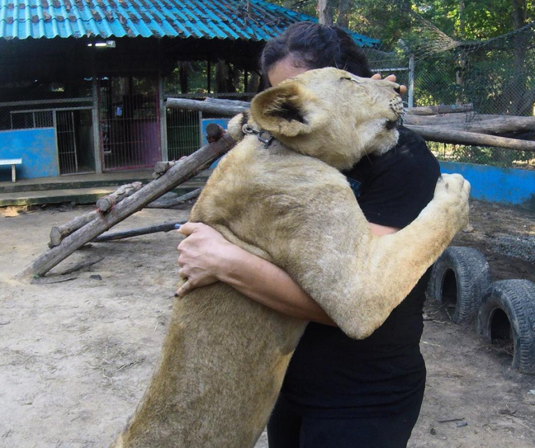 20 Cute Animals That Adore Cuddling - The Frisky