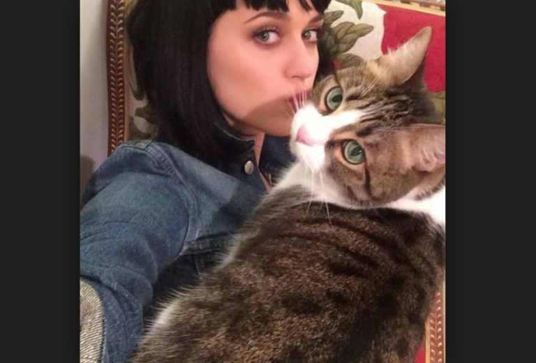 13 Celebs Who Are Truly Obsessed With Their Pets - The Frisky
