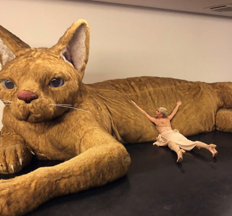 The Cutest Celebrity Cat Photos - The Frisky