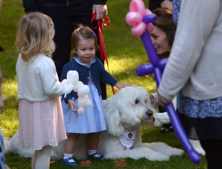 Prince George and Princess Charlotte’s Pets - The Frisky