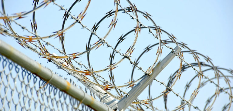 All You Need To Know About Razor Fence Wire - The Frisky