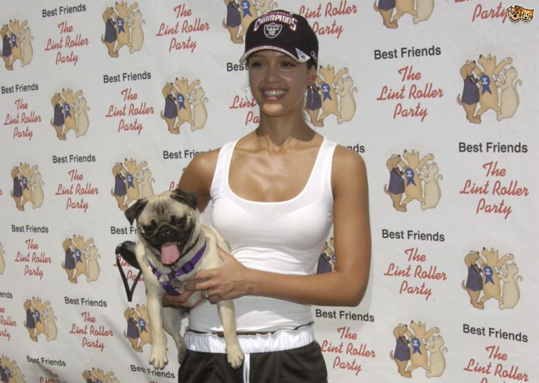 Celebrities and Their Pomeranian Dogs - The Frisky