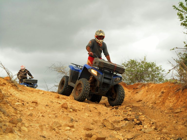 Where Can You Find Good Quads? - The Frisky