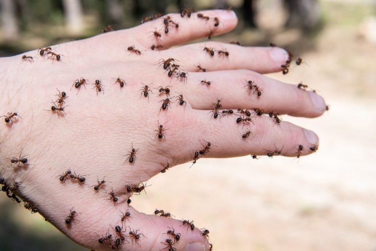 This Fetish Has Women Putting Worms in Their Vags - The Frisky