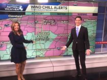 Ashley Dougherty Bio, Life, Career, Net Worth 2024 - The Frisky