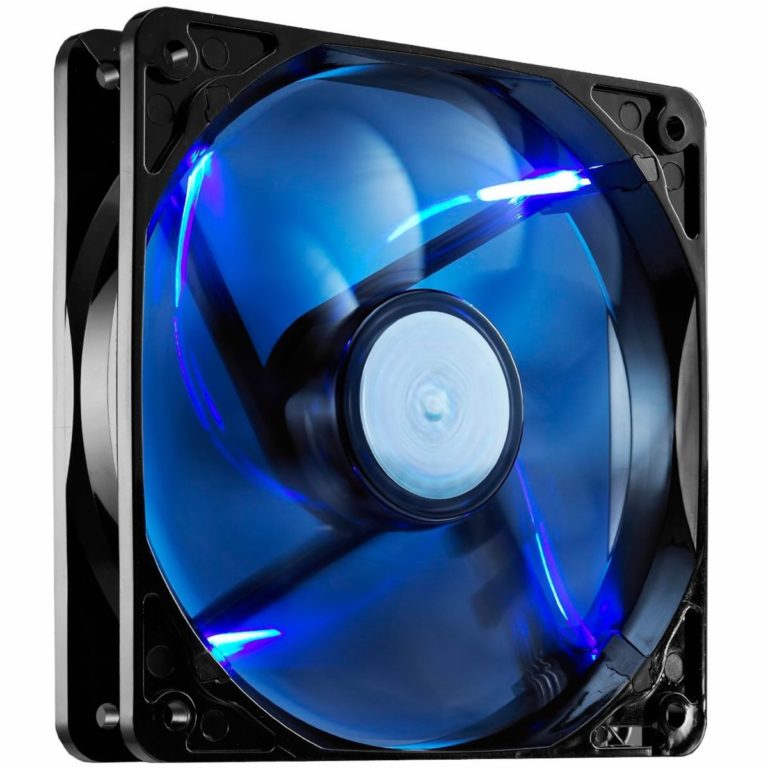 10 Best Case Fans in 2024 - Reviews - The Frisky