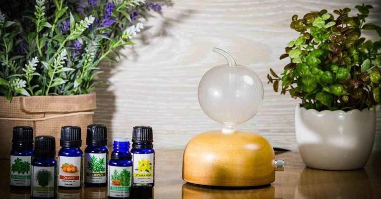 Benefits of a Nebulising Diffuser for Your Home - The Frisky