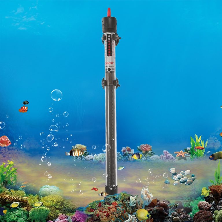 Best Ways to Maintain Aquarium Temperature - The Frisky