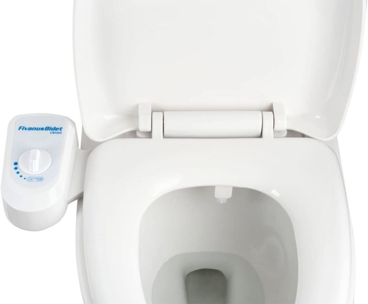 Annals Of Bidet and Why You Need It In Your Life - The Frisky