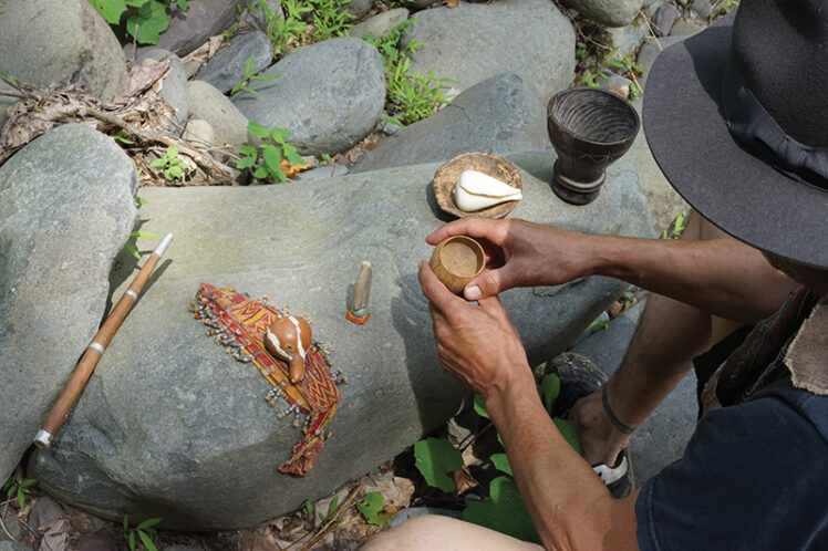 Traditional Medicine of the Amazon Basin - The Frisky