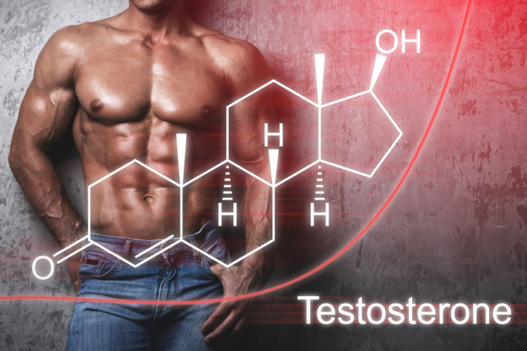 Everything You Need to Know About Testosterone Steroids in Bodybuilding ...