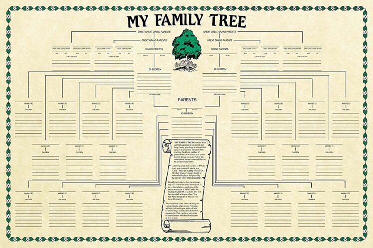 10 Steps to Start Building Your Family Tree - The Frisky