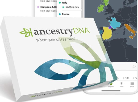 5 Best DNA Testing Companies in 2024 - The Frisky
