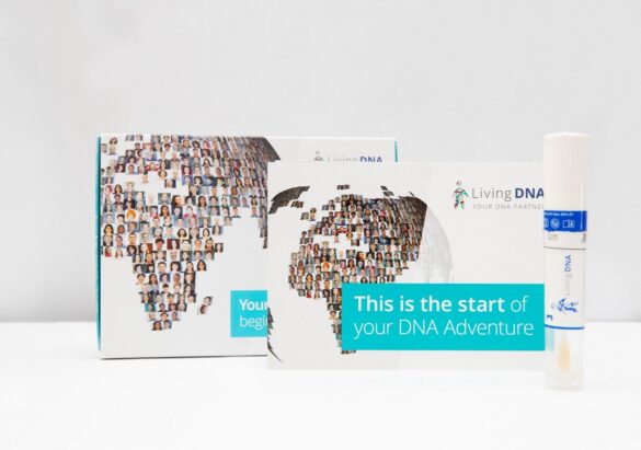 5 Best DNA Testing Companies in 2024 - The Frisky