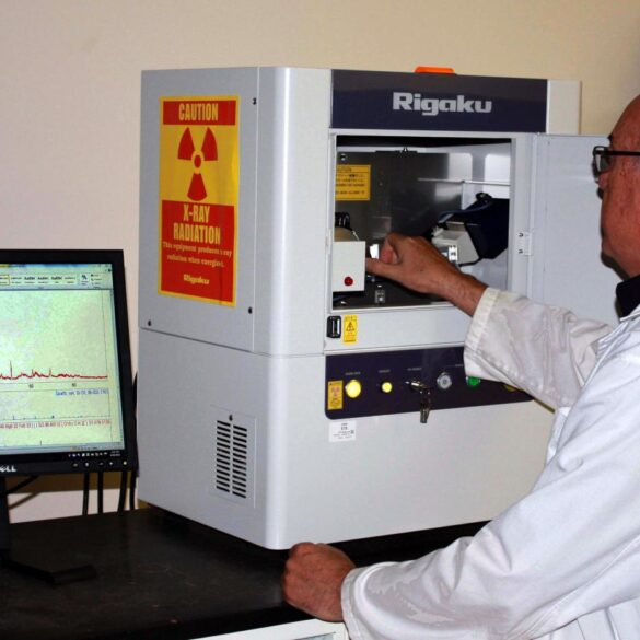 What Is A Cat X-Ray And What Can It Tell Your Vet - The Frisky