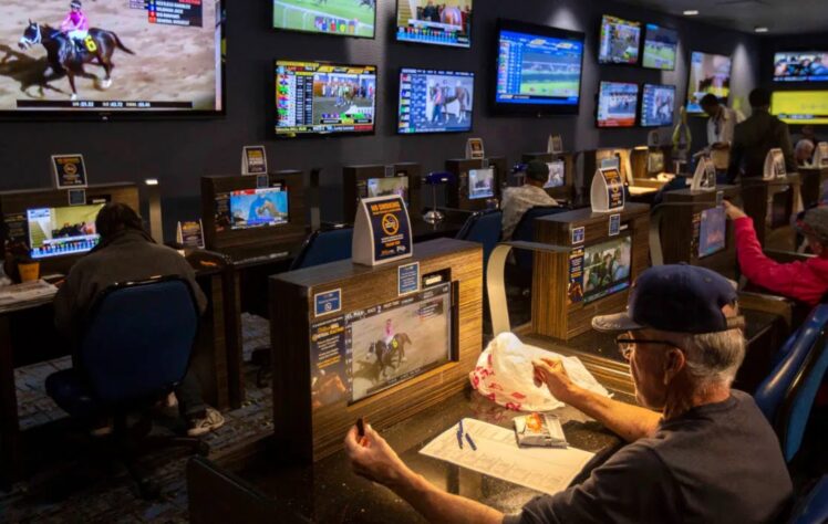 How Bookmakers are Offering More Than Just Sports Betting - The Frisky