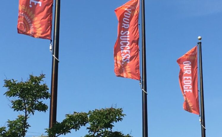 7 Ways to Promote Your Business With Custom Printed Flags - The Frisky