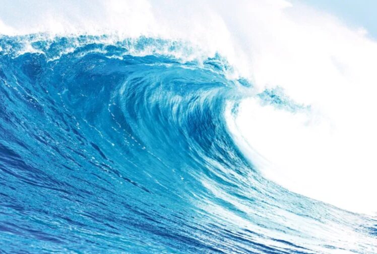 Ultimate Guide to Know the Difference Between the Ocean and the Sea ...