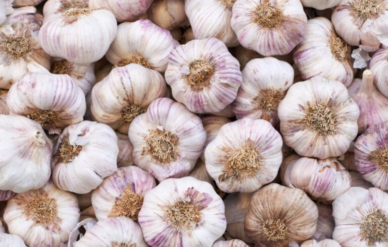 What's The Difference Between American and Chinese Garlic? - The Frisky