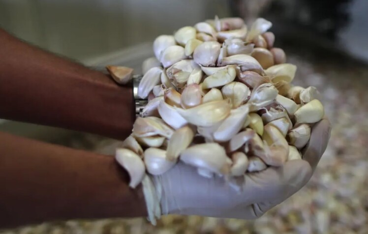 What's The Difference Between American and Chinese Garlic? - The Frisky