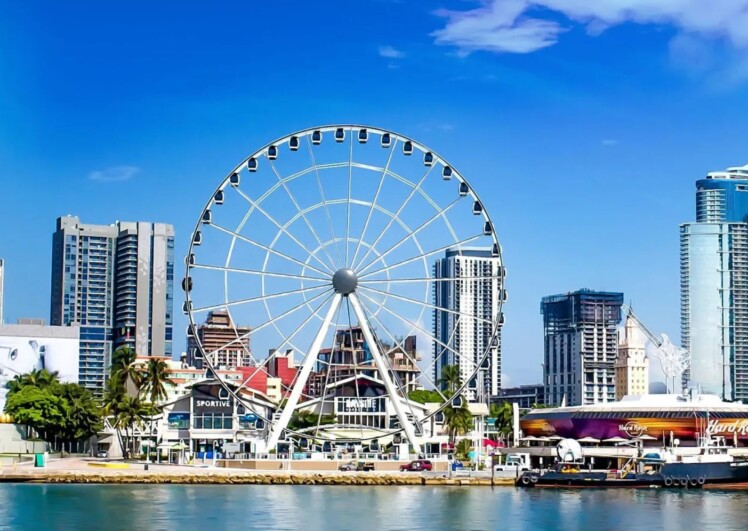 9 Nature Attractions & Hotspots You Need To Visit Around Miami In 2024 ...