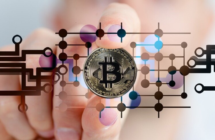 How to Make Bitcoin a Fun Pastime? - The Frisky